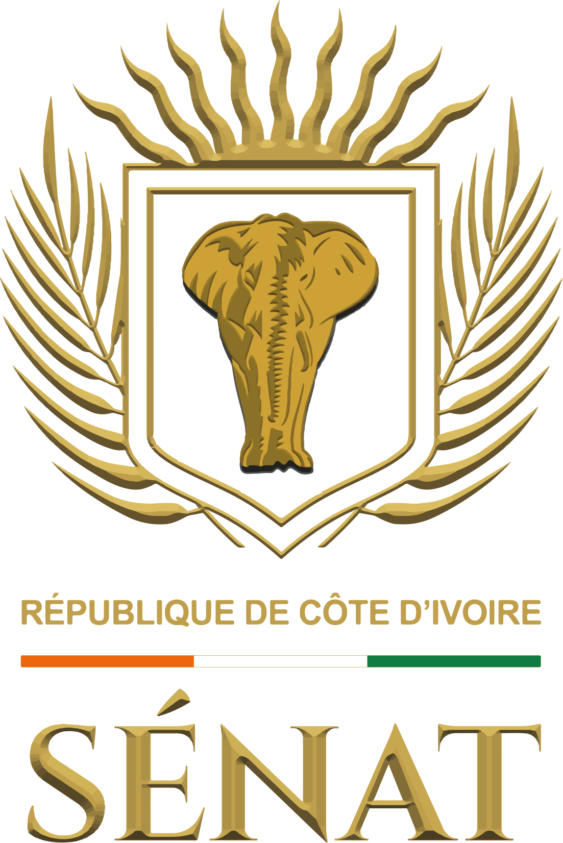Investiture du Président de la République : La Présidente du Sénat ...